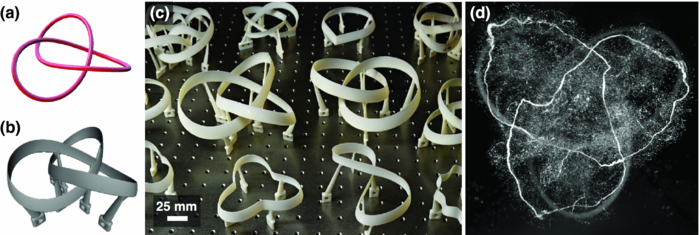 The life of a vortex knot | Physics of Fluids | AIP Publishing