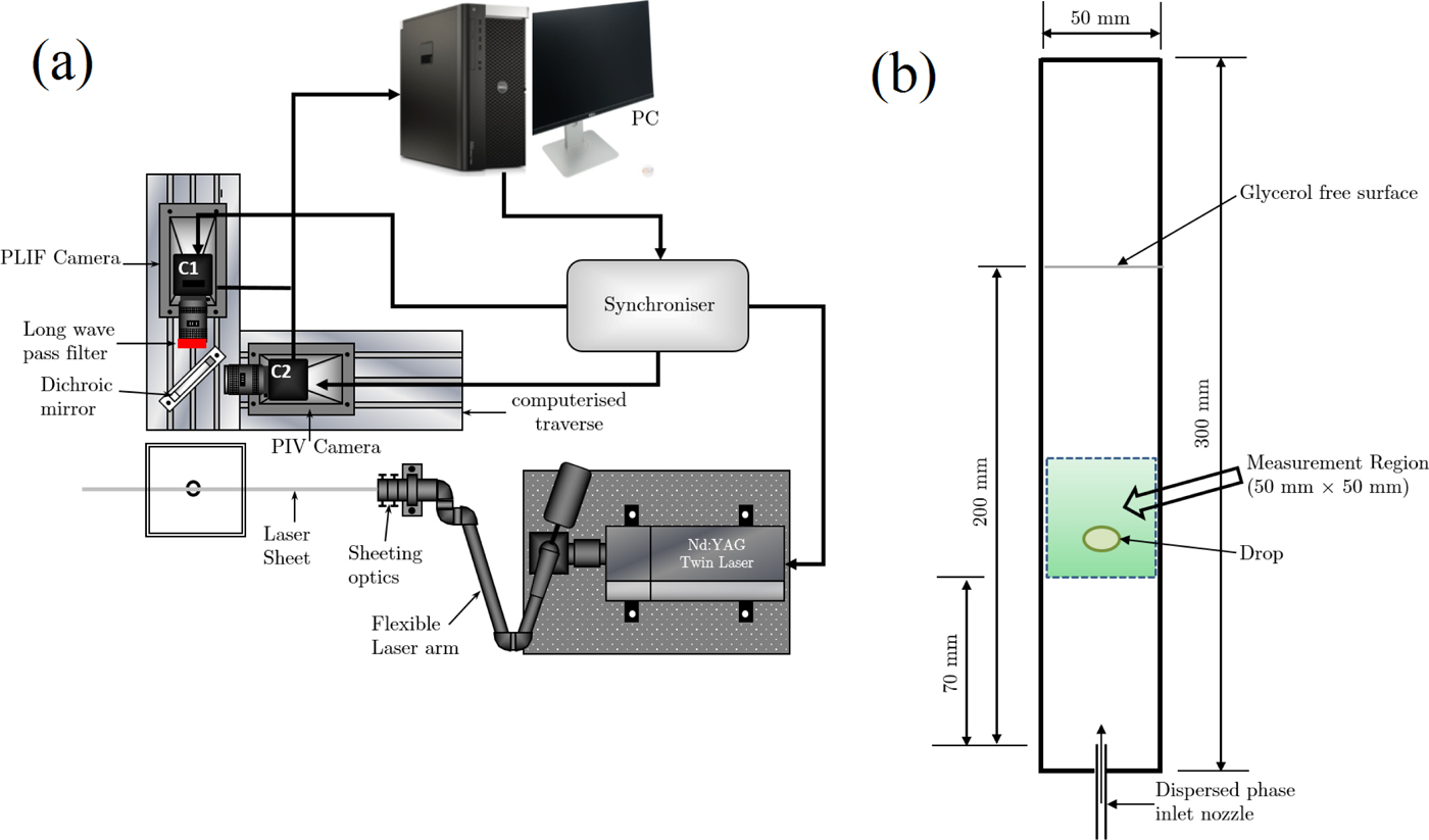 Effect of solute transfer and interfacial instabilities on scalar and ...