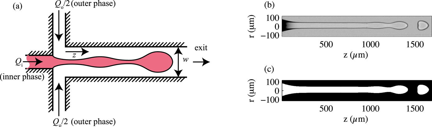 Measurement of the dispersion relation of a convectively unstable ...