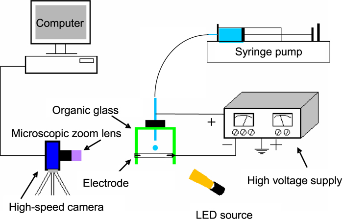 Visualization of the evolution of charged droplet formation and jet transition in electrostatic ...