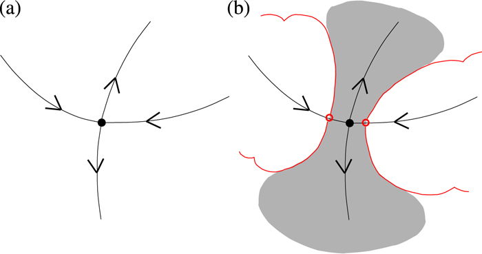 Pinning of reaction fronts by burning invariant manifolds in extended ...