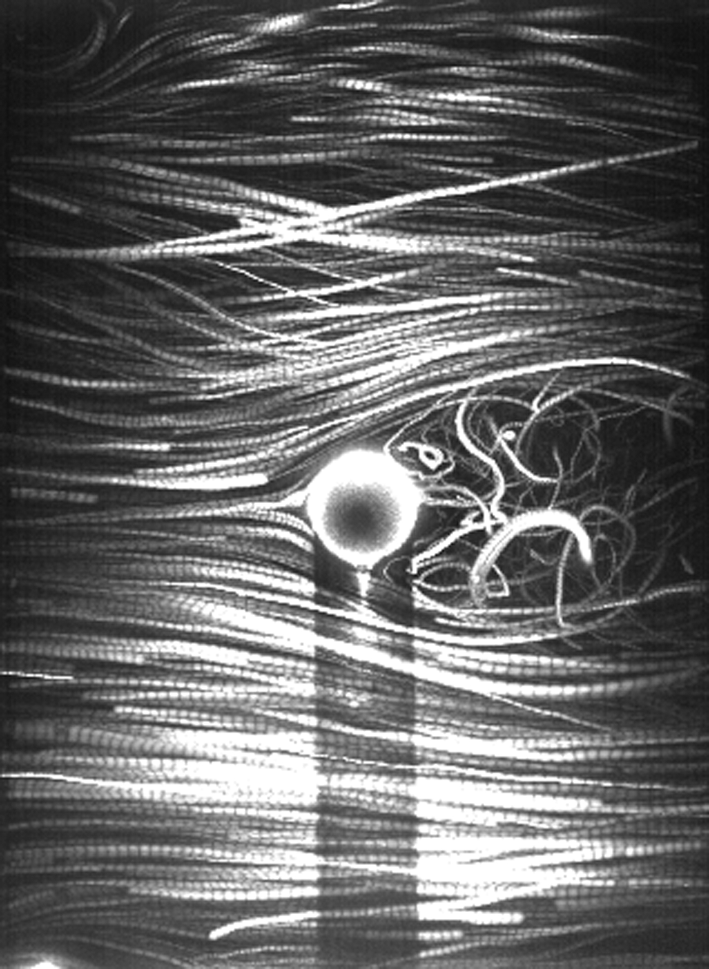 Visualization of He II forced flow around a cylinder | Physics of ...