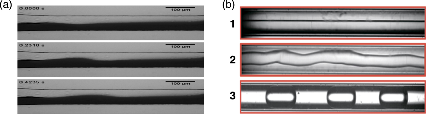 Electrokinetic instability of liquid micro- and nanofilms with a mobile ...