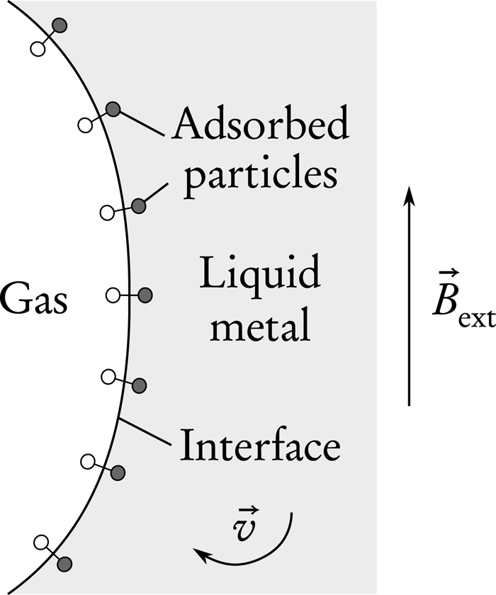 On the role of surface rheology in a magnetohydrodynamic swirling flow ...