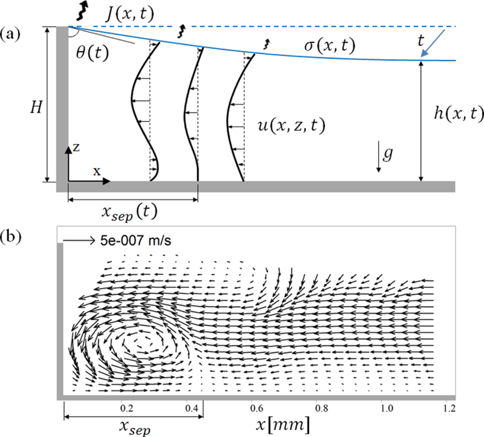 Viscous flow separation caused by the Marangoni effect in competition ...