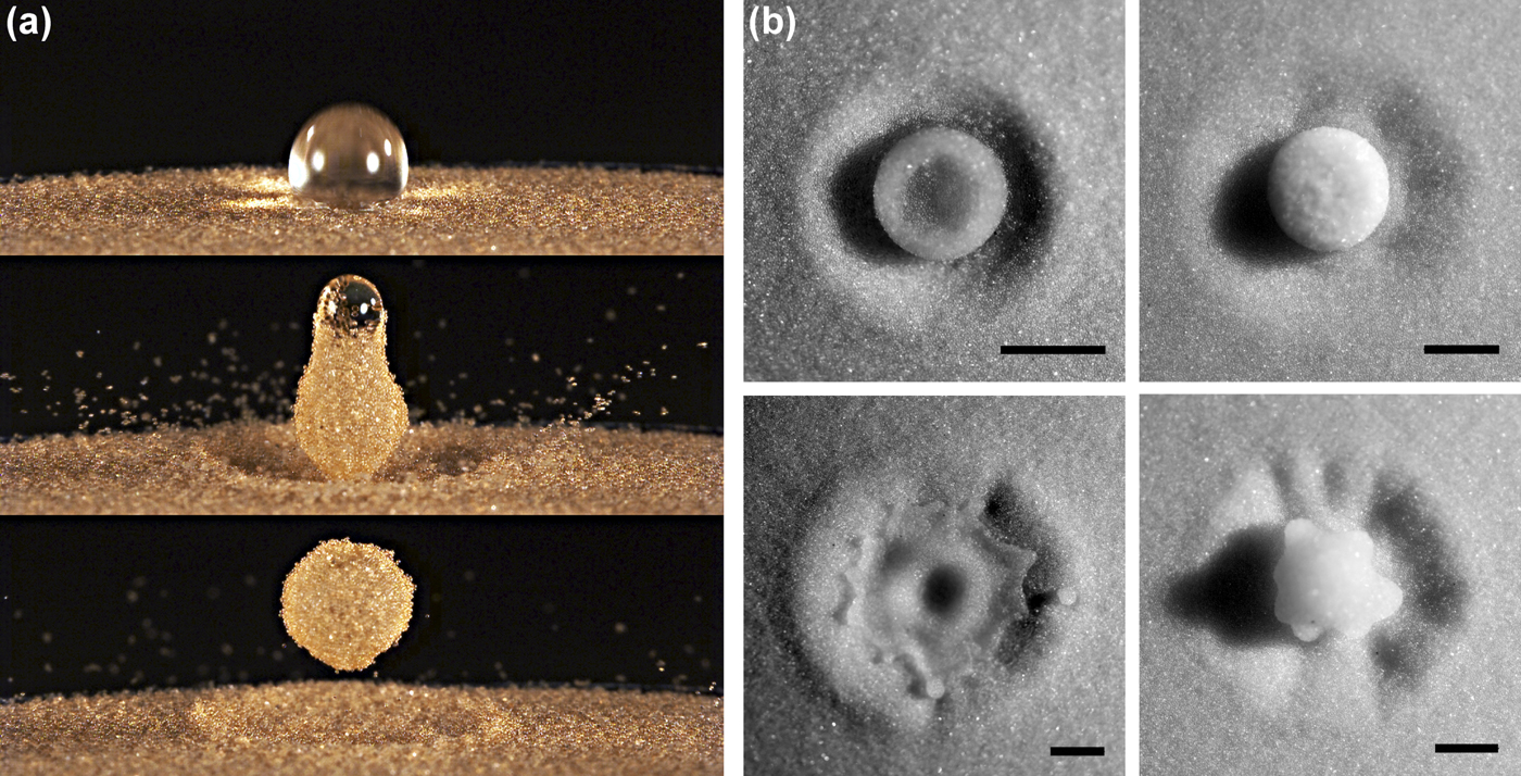 Raindrop impact on a sandy surface | Physics of Fluids | AIP Publishing