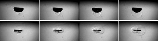 The inner world of a collapsing bubble | Physics of Fluids | AIP Publishing