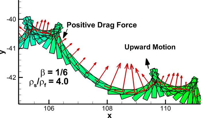 Numerical study on the freely falling plate: Effects of density ratio ...