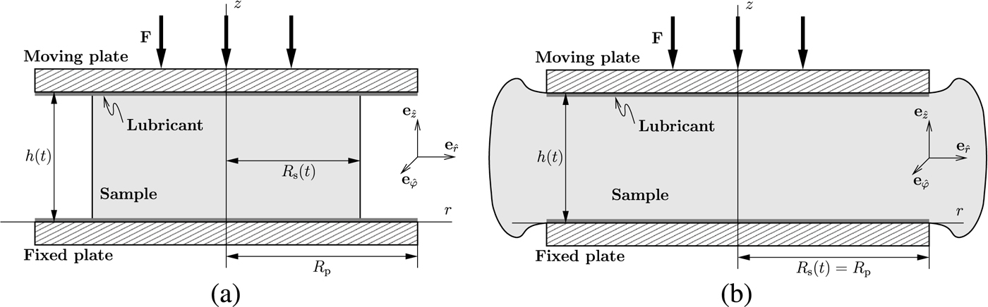 On the response of nonlinear viscoelastic materials in creep and stress relaxation experiments ...