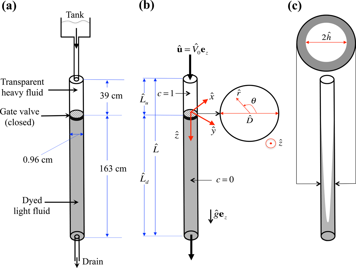 Buoyant miscible displacement flows in vertical pipe | Physics of ...
