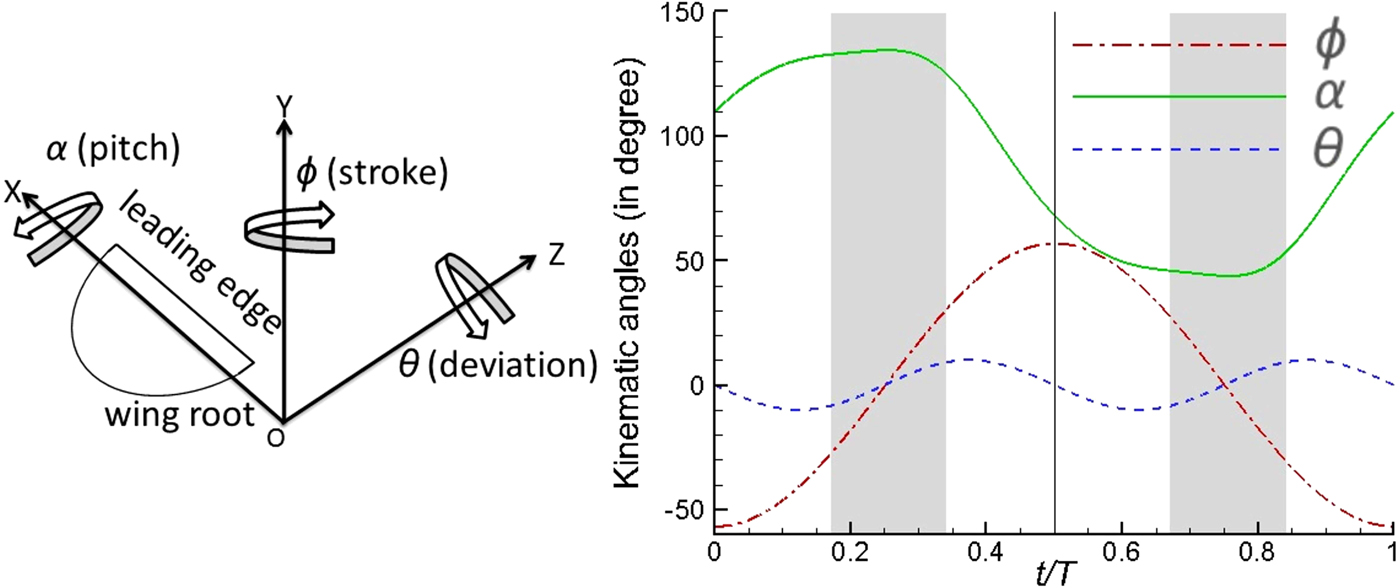 Effects of wing shape, aspect ratio and deviation angle on aerodynamic ...