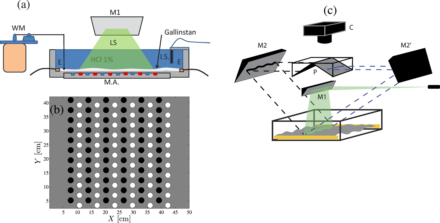 Surface waves propagating on a turbulent flow | Physics of Fluids | AIP Publishing