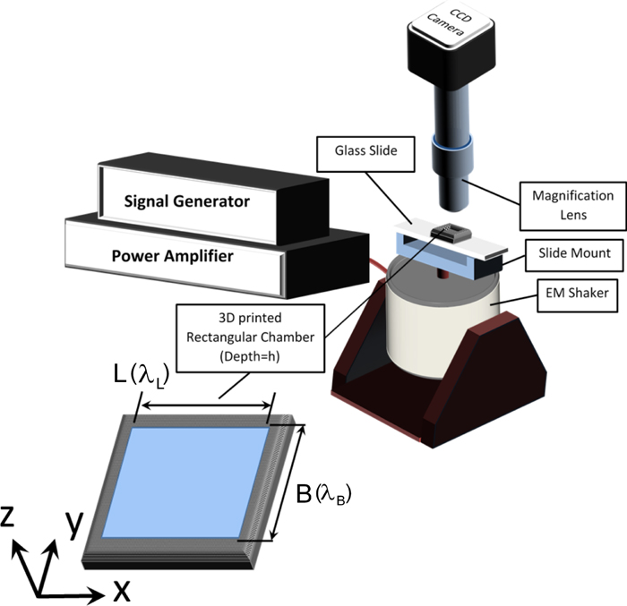 Particle manipulation affected by streaming flows in vertically ...