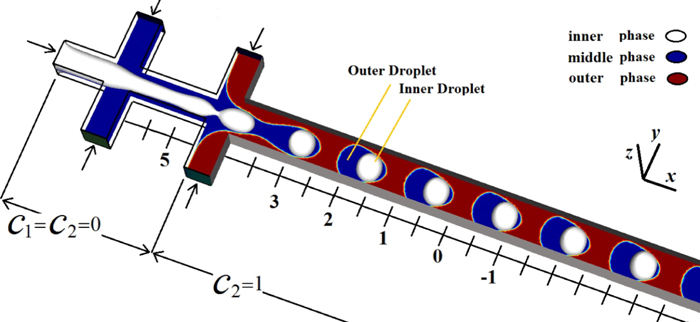 Double emulsion formation through hierarchical flow-focusing ...