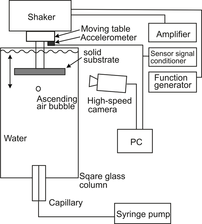 “Immortal” liquid film formed by colliding bubble at oscillating solid ...