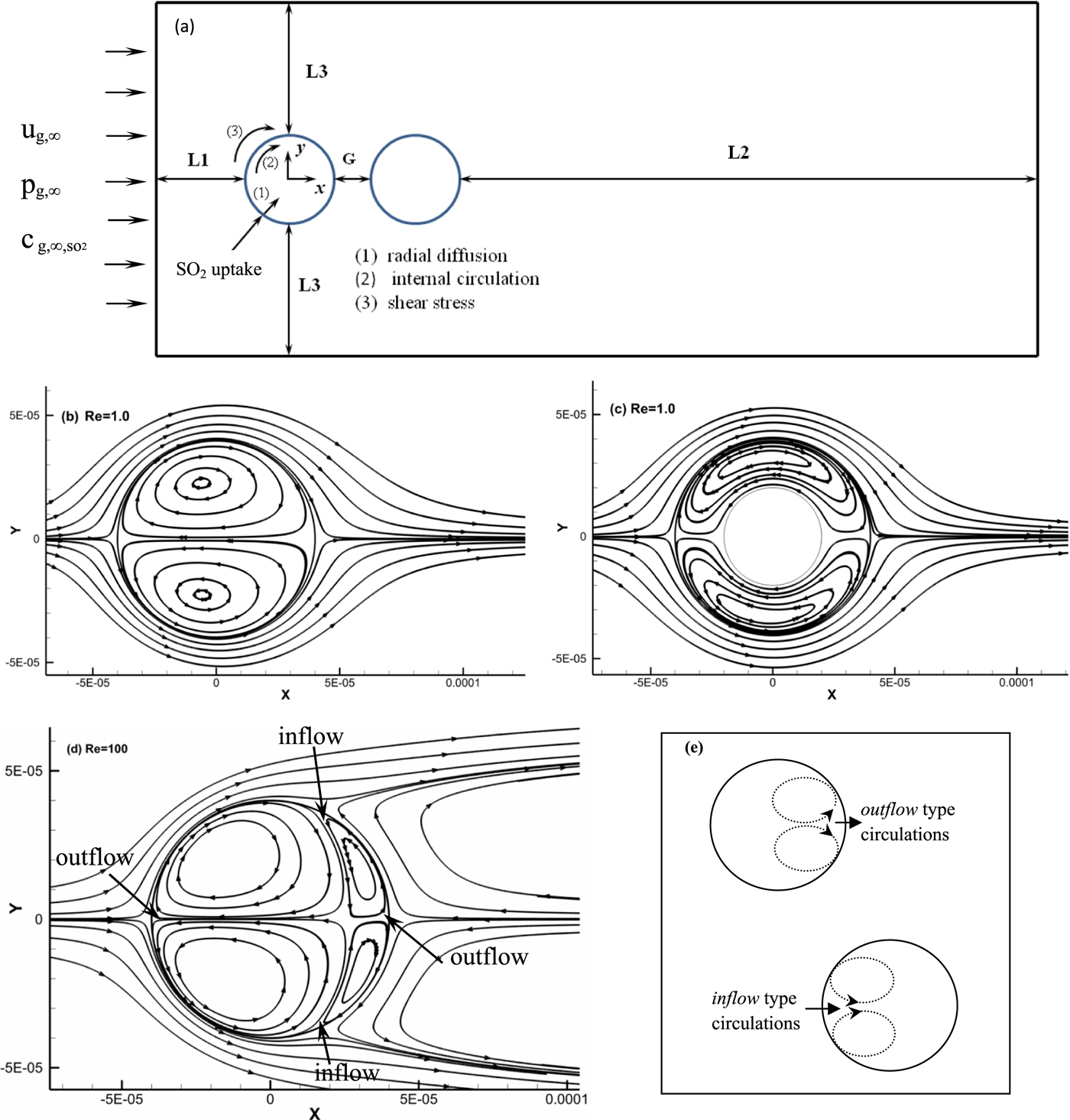 Microphysics of mass-transport in coupled droplet-pairs at low Reynolds number and the role of ...