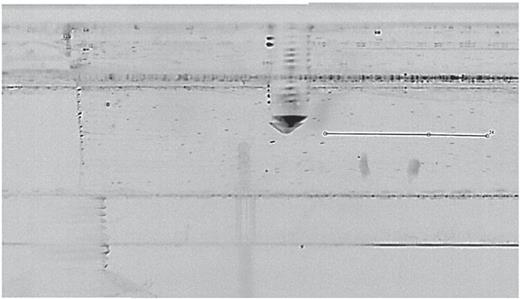 Hydrodynamic model of screen channel liquid acquisition devices for in ...
