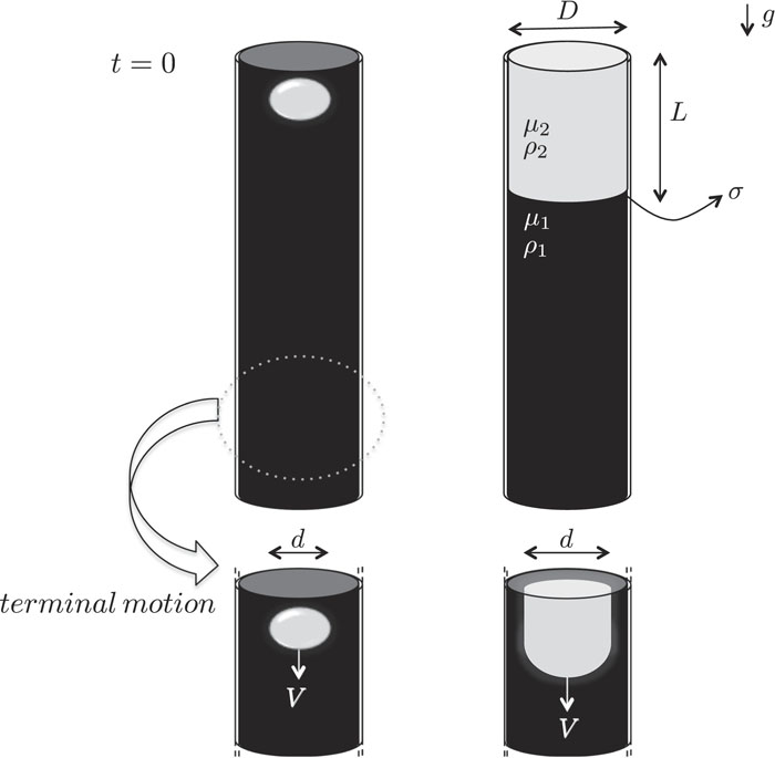 Exchange flows of two immiscible Newtonian liquids in a vertical tube ...
