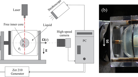 Librations induced zonal flow and differential rotation of free inner ...