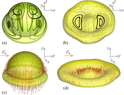Elliptical spreading characteristics of a liquid metal droplet impact ...