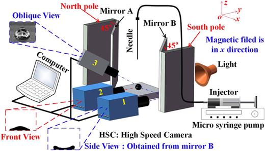 Elliptical spreading characteristics of a liquid metal droplet impact ...