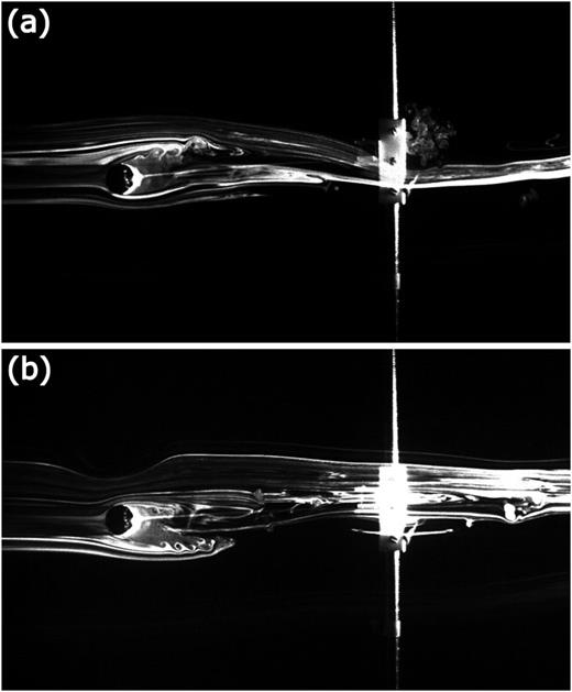 Vortex-induced vibration of finite-length circular cylinders with ...