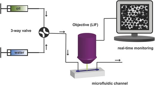 Oil-water displacements in rough microchannels | Physics of Fluids ...