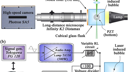 Acoustically induced bubble jets | Physics of Fluids | AIP Publishing