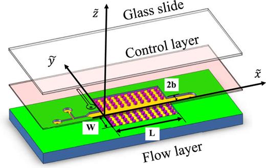 Hydrodynamic dispersion in thin channels with micro-structured porous ...