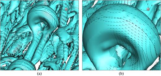 Rortex and comparison with eigenvalue-based vortex identification ...