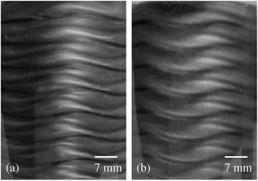 Rheoscopic fluids in a post-Kalliroscope world | Physics of Fluids | AIP Publishing