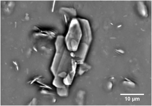 Rheoscopic fluids in a post-Kalliroscope world | Physics of Fluids ...