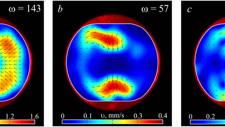 Steady flows in deformed elastic sphere subject to rotational ...