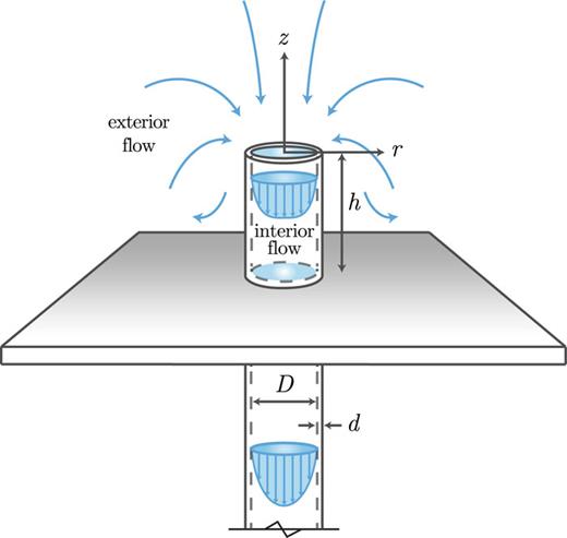 High dynamic range particle image velocimetry analysis of viscous ...