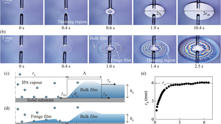 Formation, growth, and saturation of dry holes in thick liquid films ...