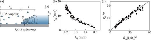 Formation, growth, and saturation of dry holes in thick liquid films ...