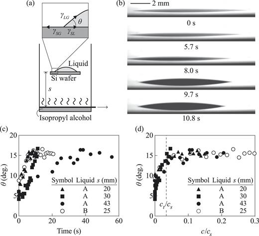 Formation, growth, and saturation of dry holes in thick liquid films ...