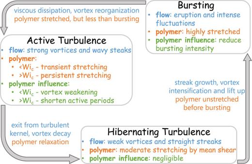 Turbulent drag reduction by polymer additives: Fundamentals and recent ...