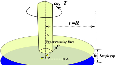 On the detection, measurement, and characterization of slip-velocity in ...
