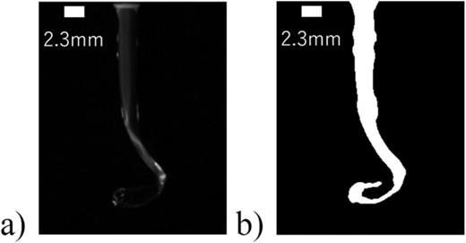 Proper orthogonal decomposition of primary breakup and spray in co ...