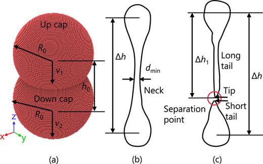 Study of a nanodroplet breakup through many-body dissipative particle dynamics | Physics of ...