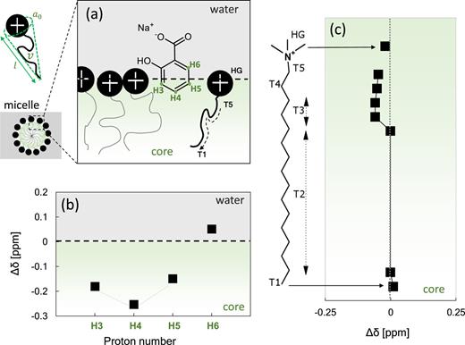 Molecular interactions and the viscoelasticity of micellar aggregates ...