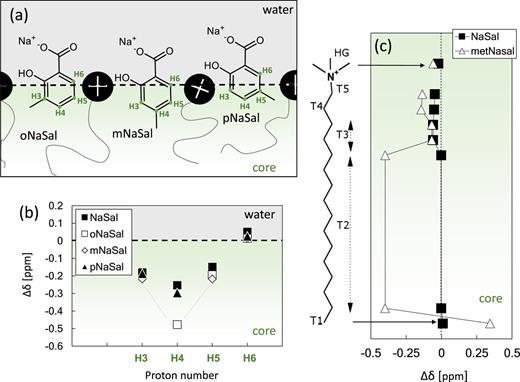 Molecular interactions and the viscoelasticity of micellar aggregates ...