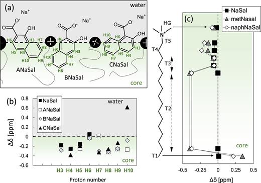 Molecular interactions and the viscoelasticity of micellar aggregates ...