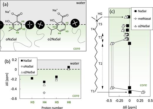 Molecular interactions and the viscoelasticity of micellar aggregates ...