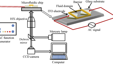 Directionally controlled open channel microfluidics | Physics of Fluids ...