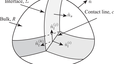 Role of the rate of surface dilatation in determining microscopic ...