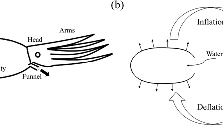 Pulsed-jet propulsion of a squid-inspired swimmer at high Reynolds ...