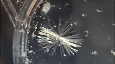 Effect of porosity on separated vortex rings of dandelion seeds ...