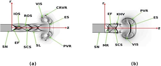 On the formation and sustenance of the compressible vortex rings in ...